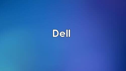 DELL – Data Path Inc